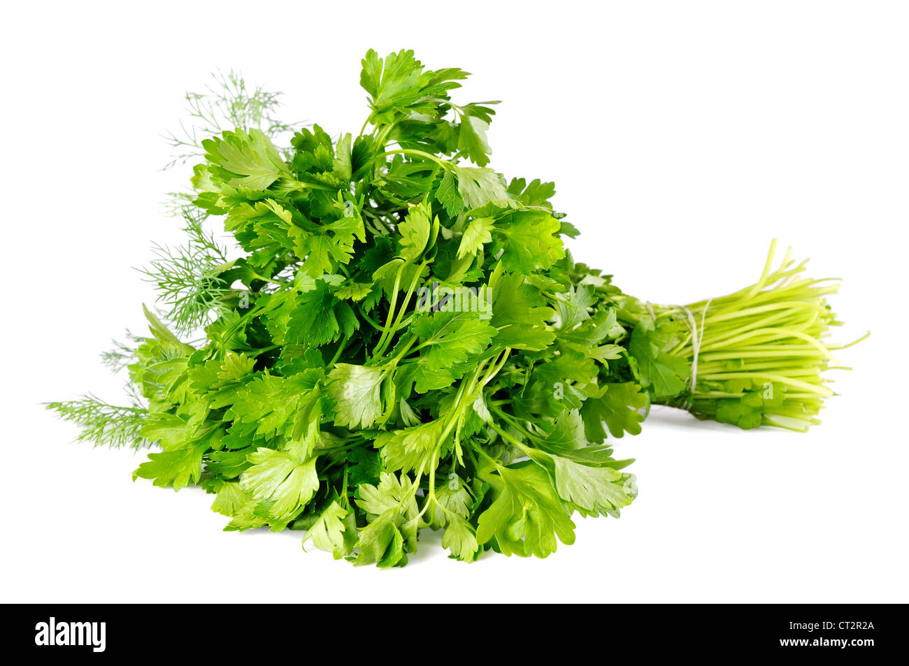 Bunch of parsley isolated on white background Stock Photo - Alamy