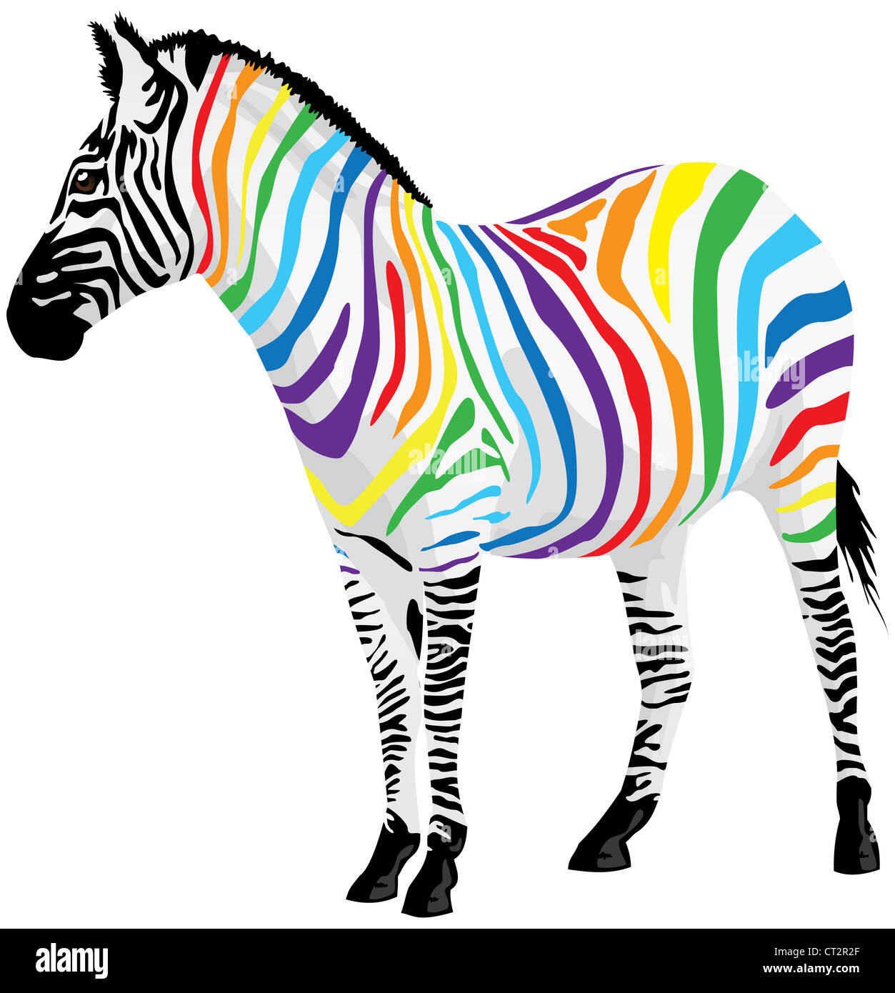 Zebra. Strips of different colors. Vector illustration Stock Photo - Alamy