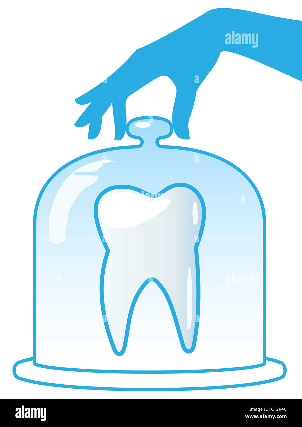 A healthy tooth is protected by a glass dome. Dentistry Stock Photo - Alamy