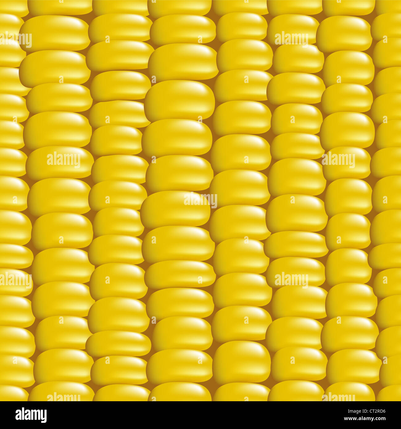 Seamless background with a grain of corn. Vector illustration Stock ...