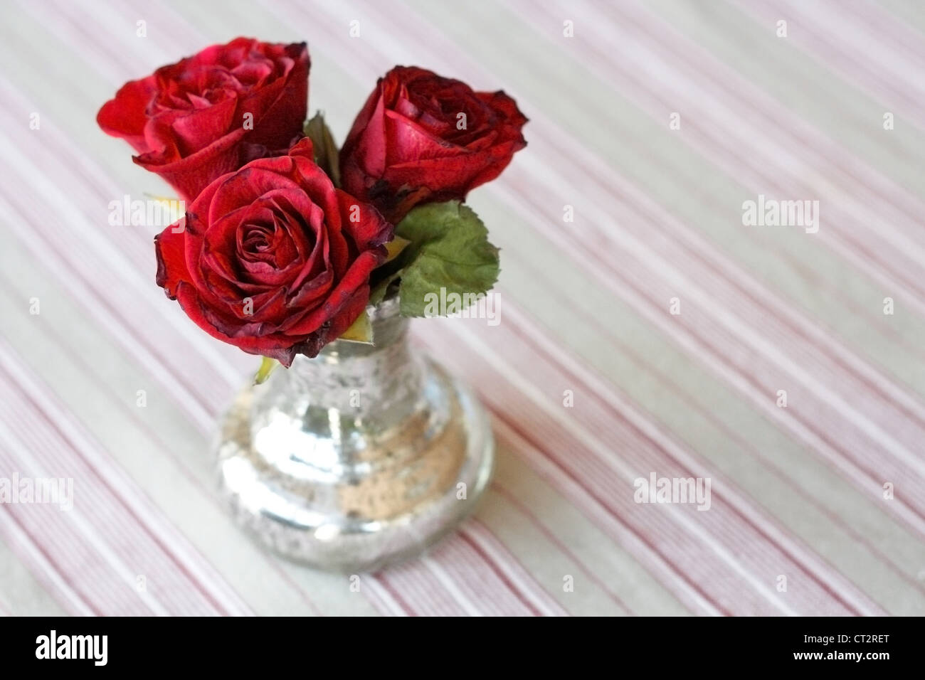 Colorful su flowers hi-res stock photography and images - Alamy