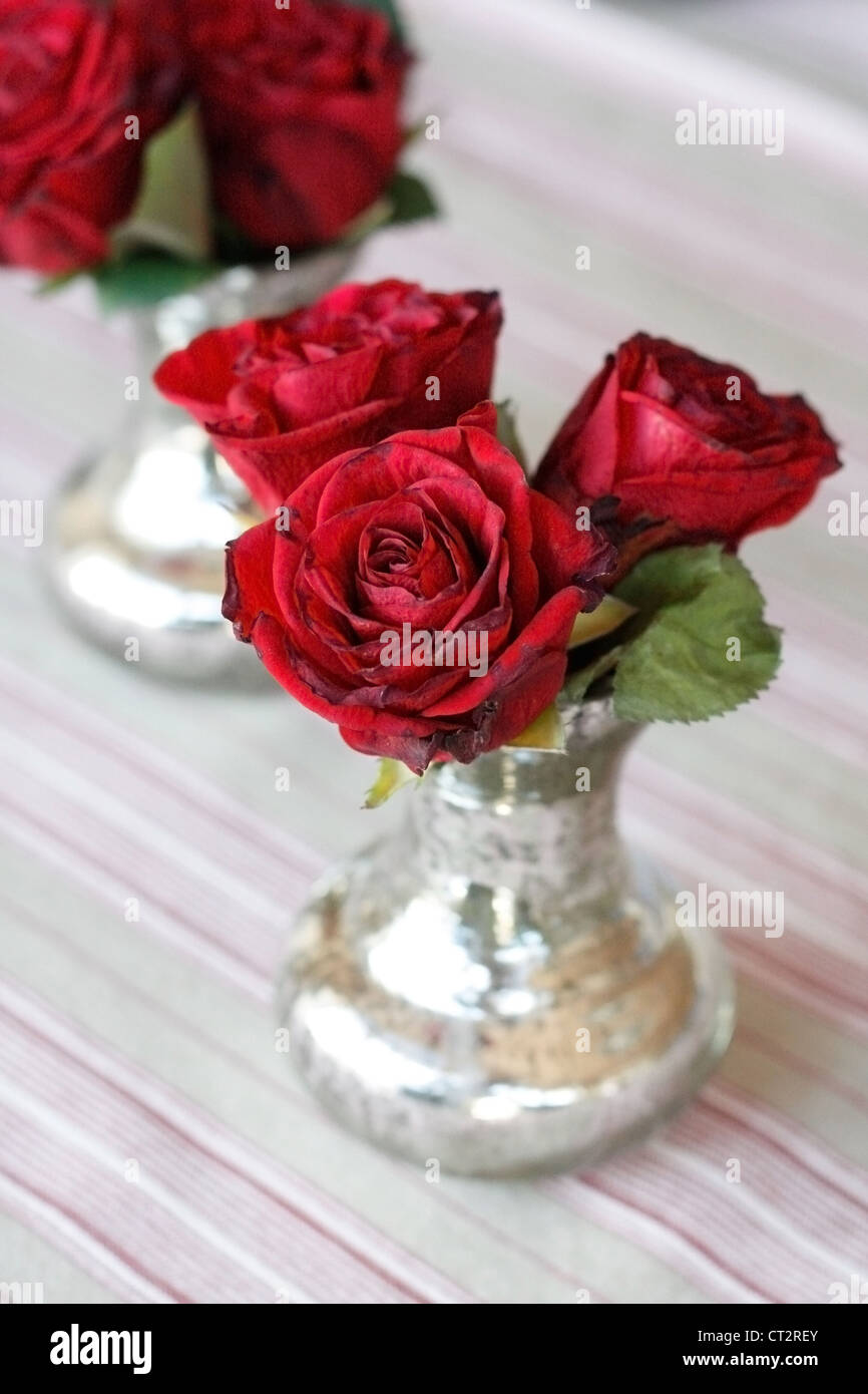 Colorful su flowers hi-res stock photography and images - Alamy