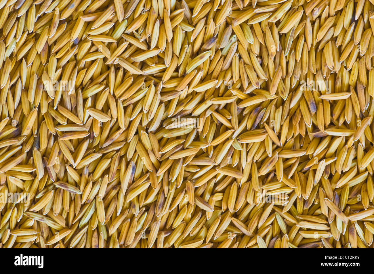 Stack of paddy hi-res stock photography and images - Alamy