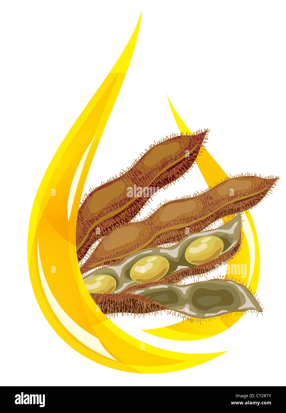 Soybean oil. Stylized drop of oil and soybean pod. Vector illustration ...
