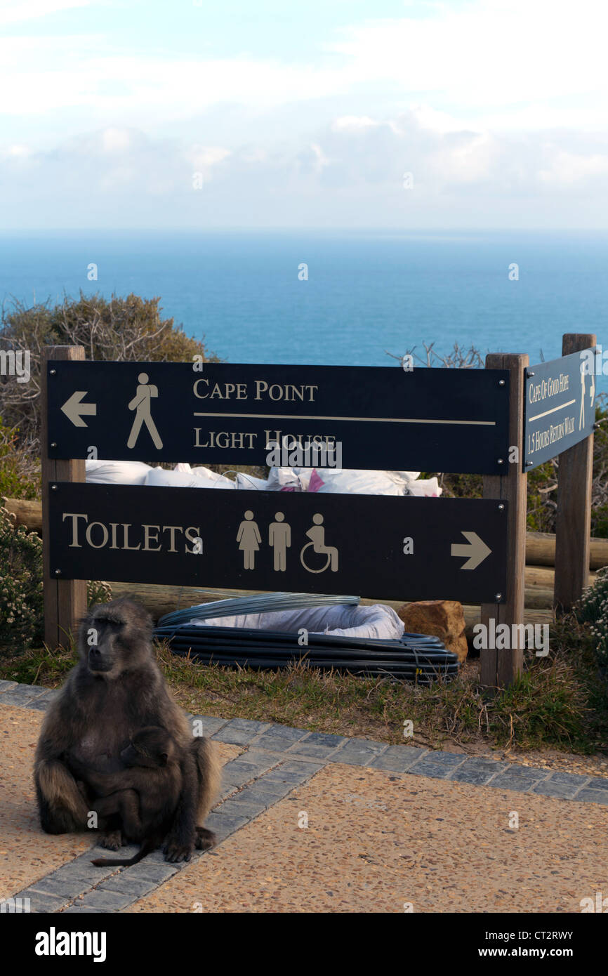 Cape point sign hi-res stock photography and images - Alamy