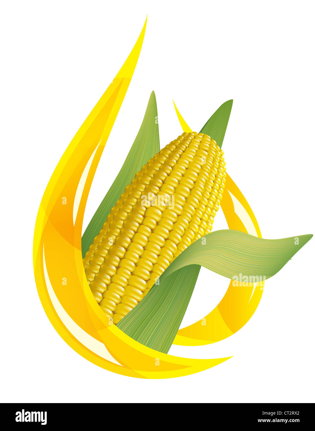 Corn oil. Stylized drop of oil, and corn cob. Vector illustration Stock ...