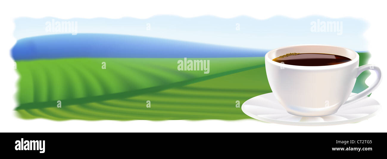 A cup of coffee and coffee plantations. Panorama Stock Photo - Alamy