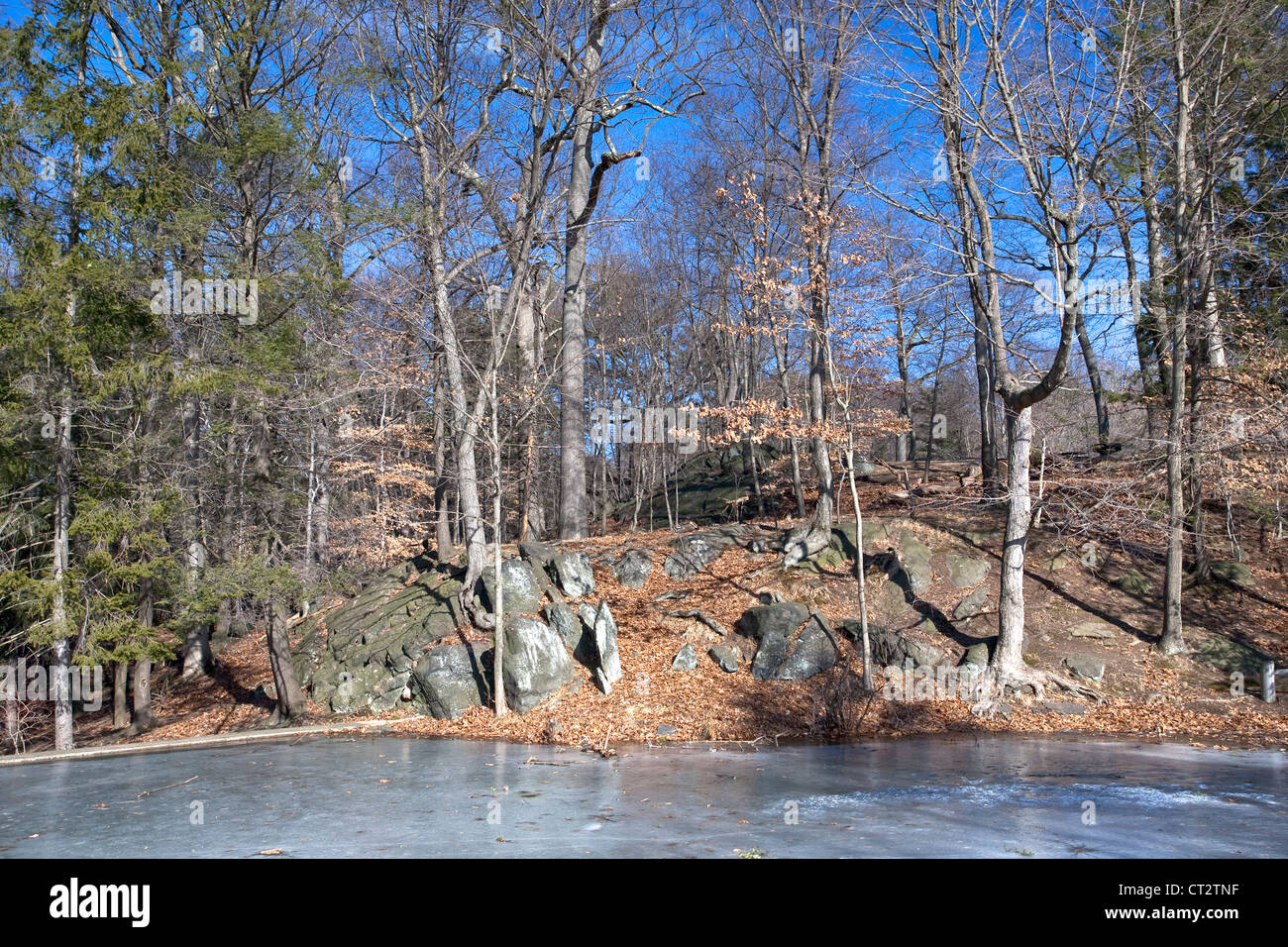 coast of frozen lake Stock Photo - Alamy