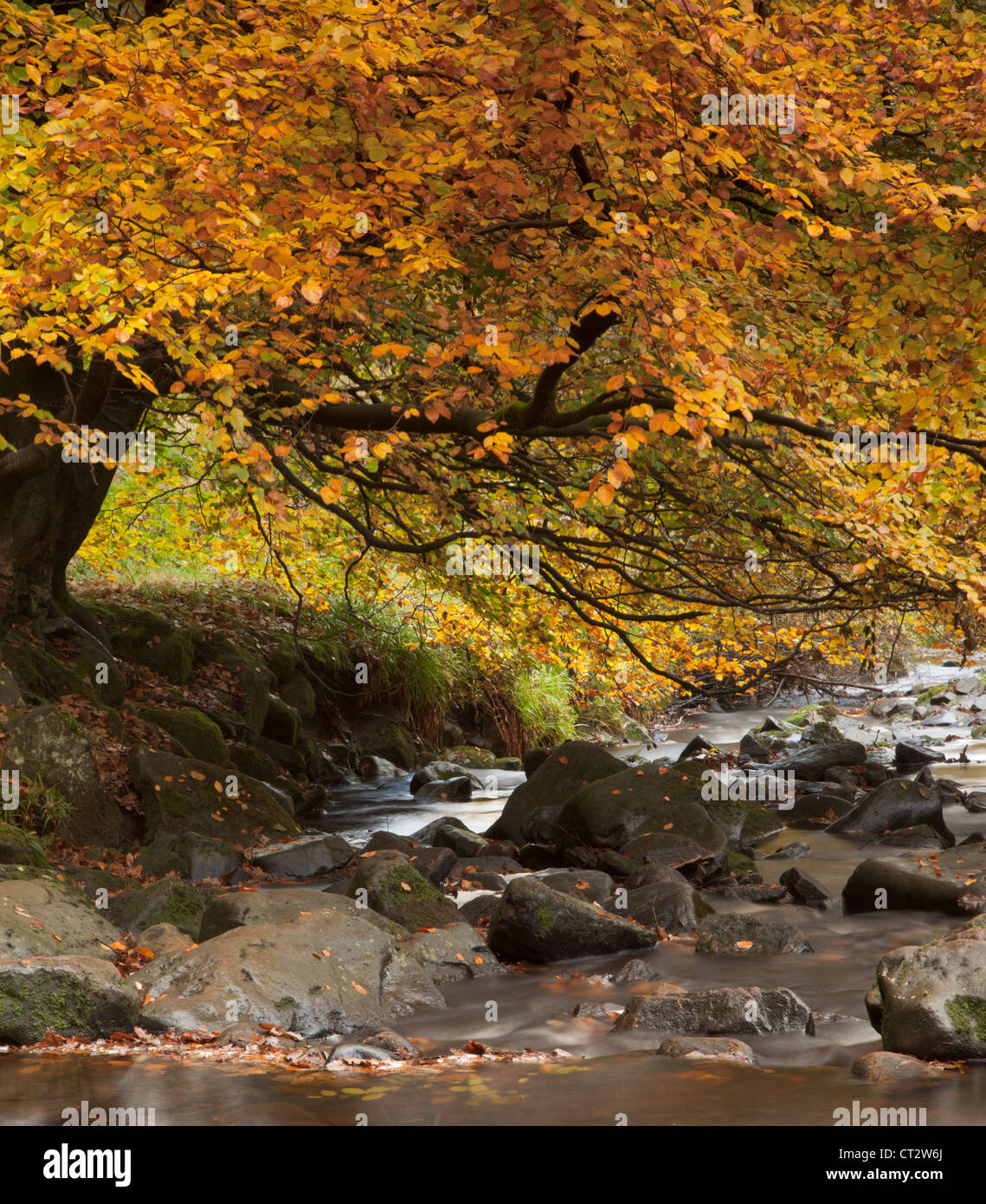 Peak district border hi-res stock photography and images - Alamy