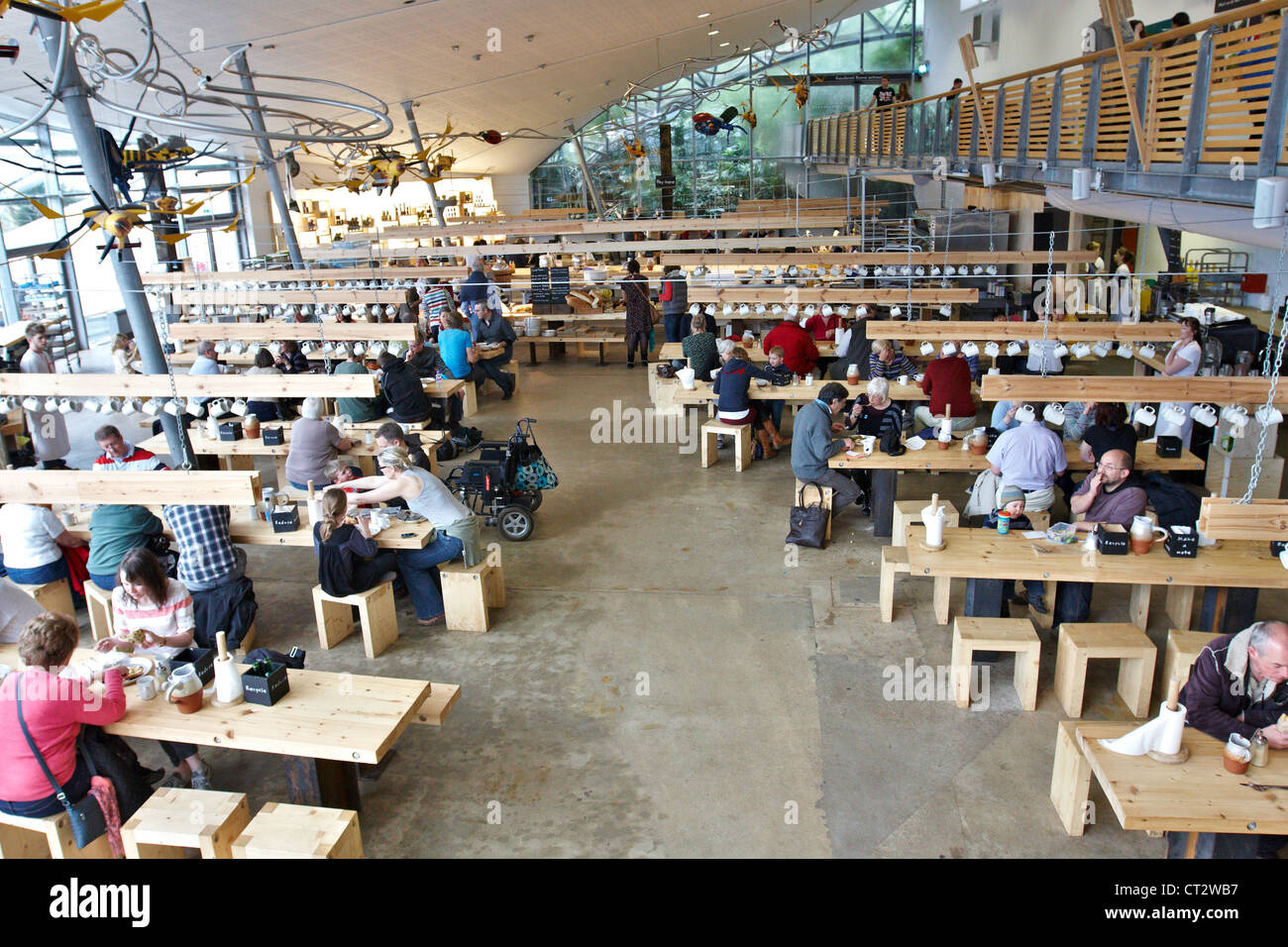 Cafe at Eden Project, Cornwall Stock Photo - Alamy
