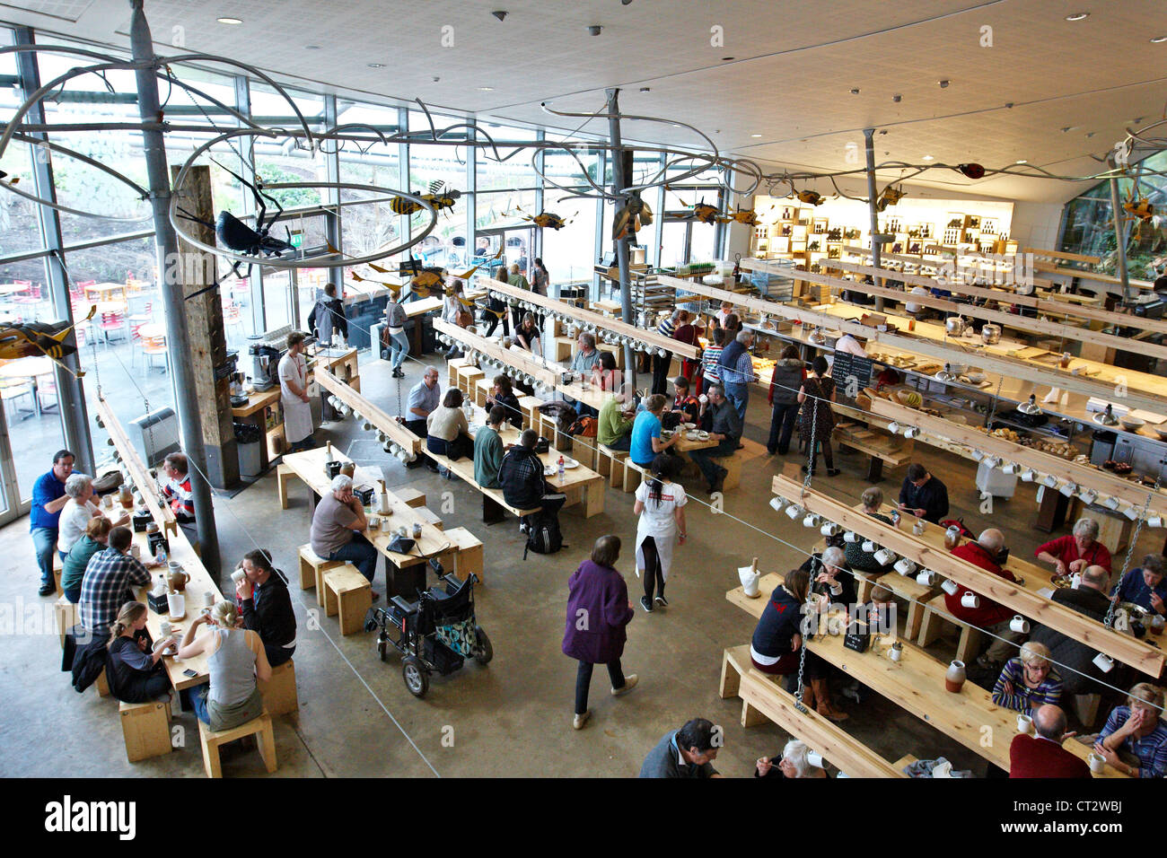 Eden project cafe hi-res stock photography and images - Alamy