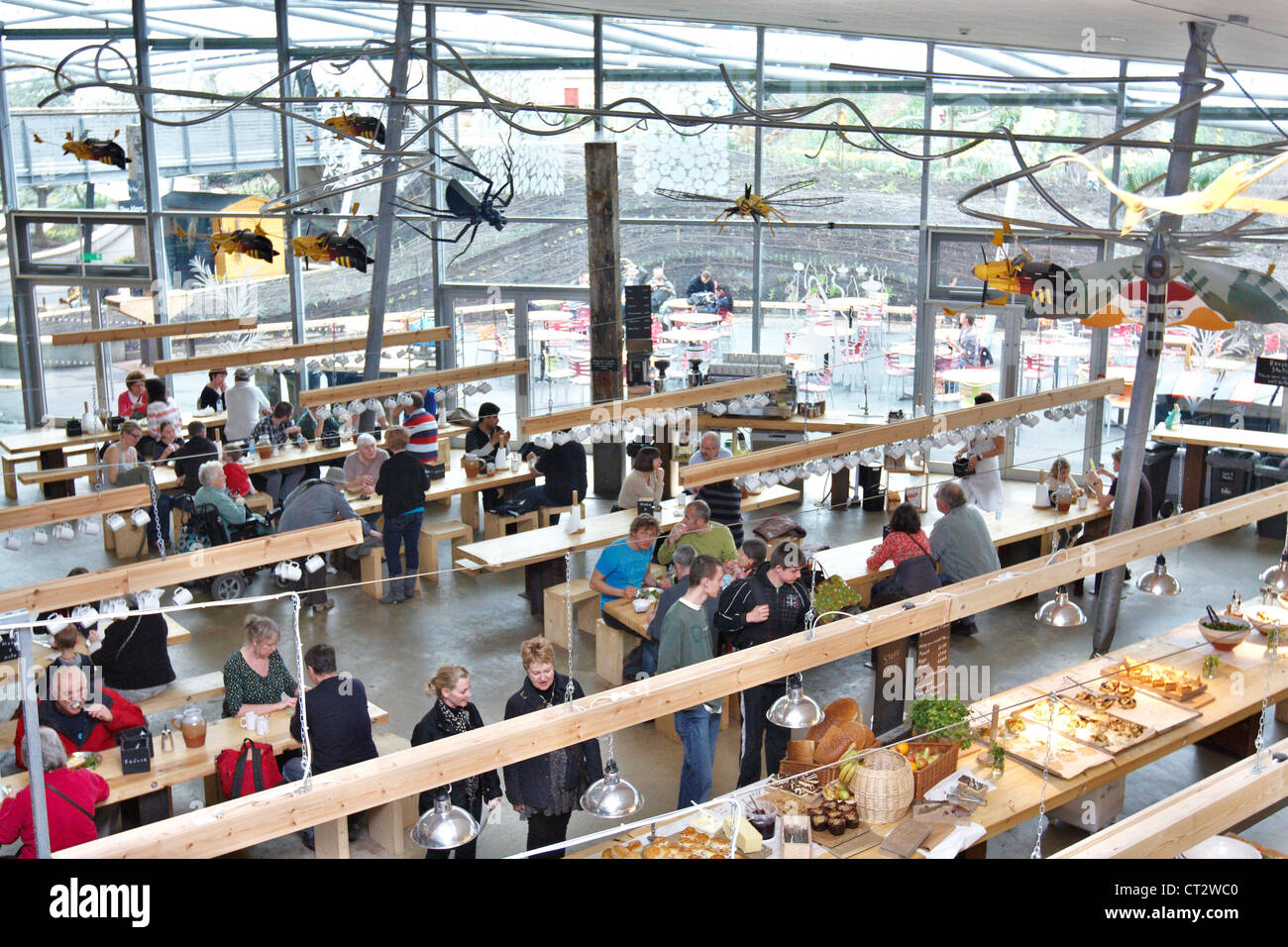 Eden project cafe hi-res stock photography and images - Alamy