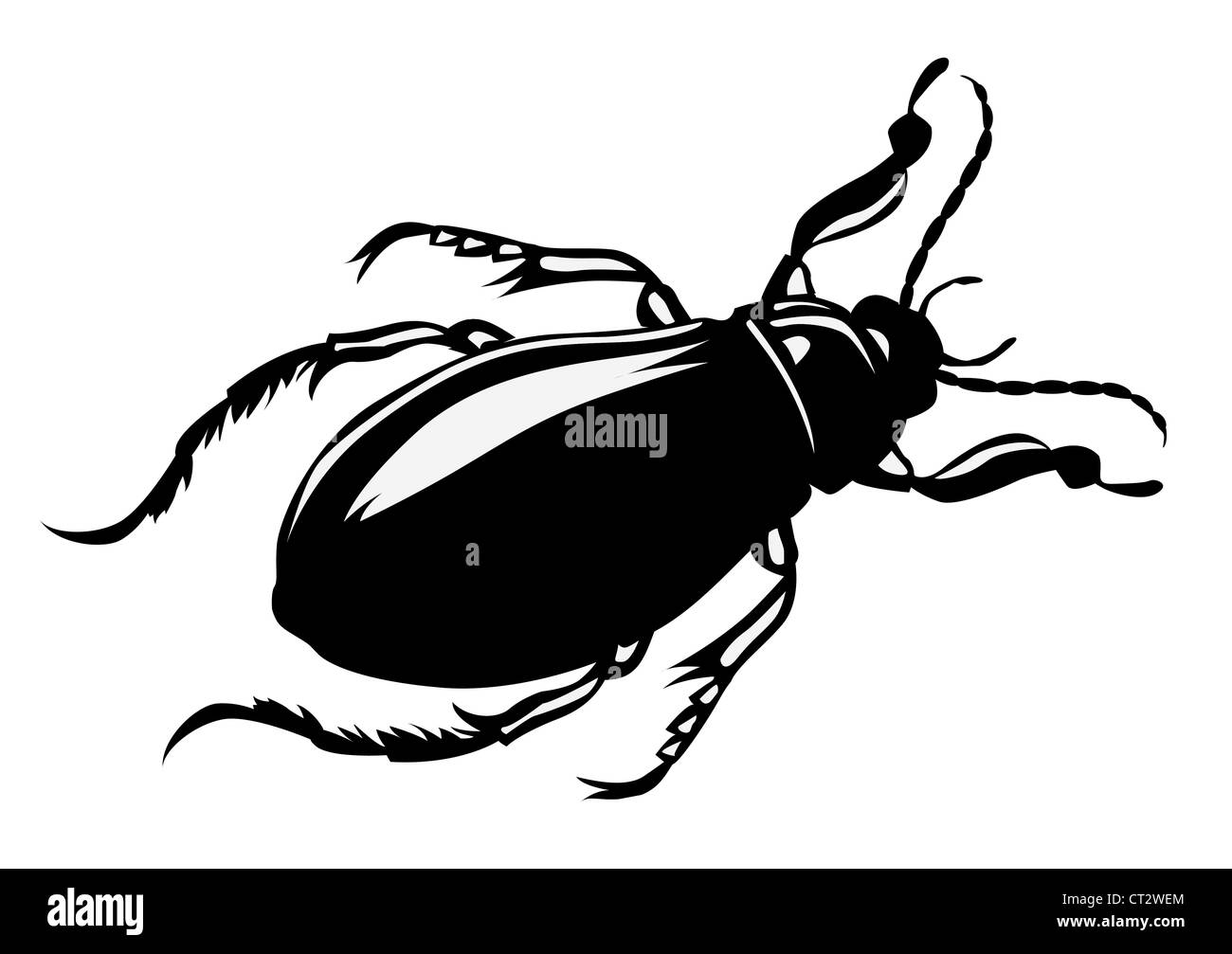 vector silhouette bug on white background Stock Photo - Alamy