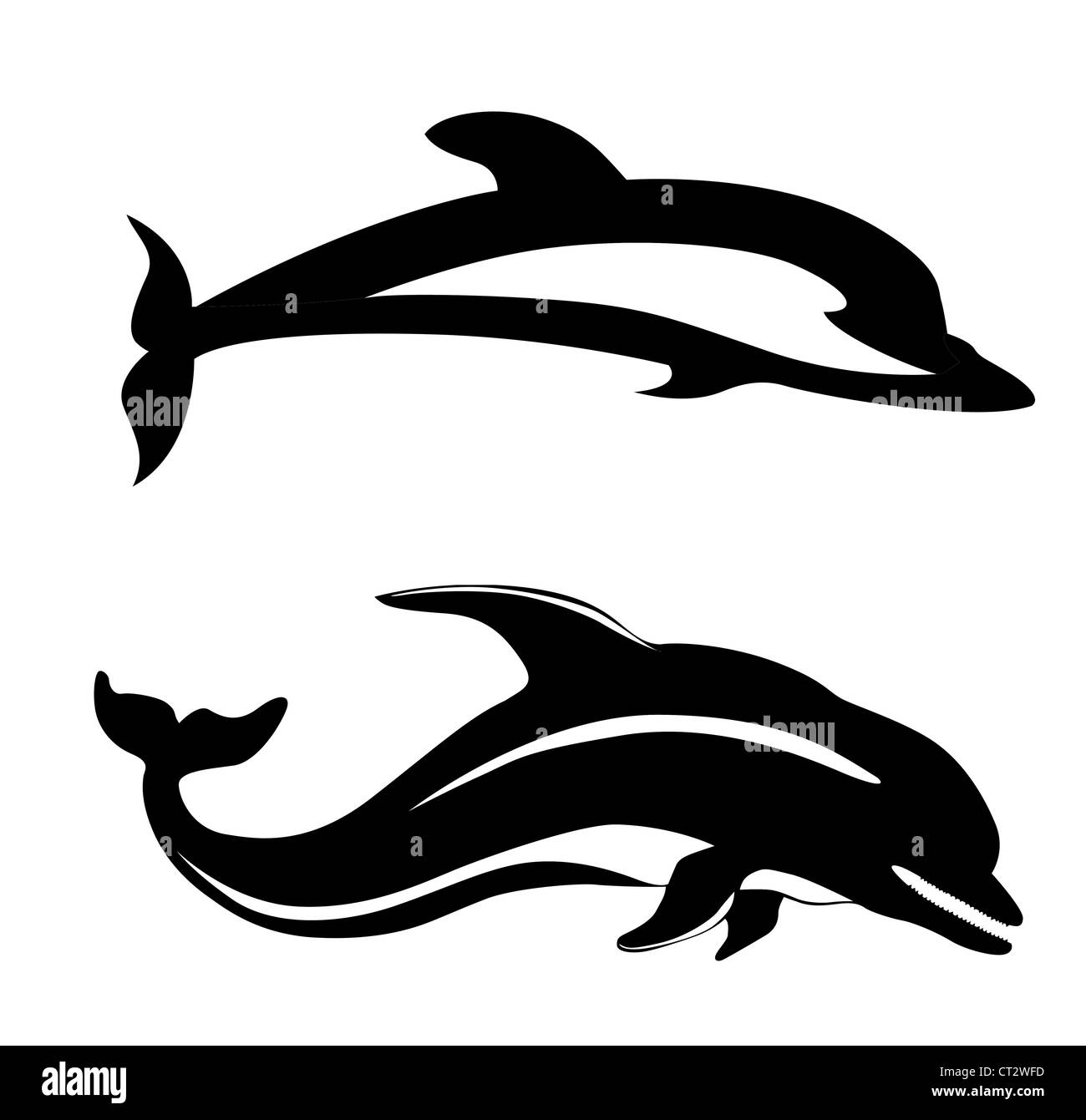 two dolphins on white background Stock Photo - Alamy