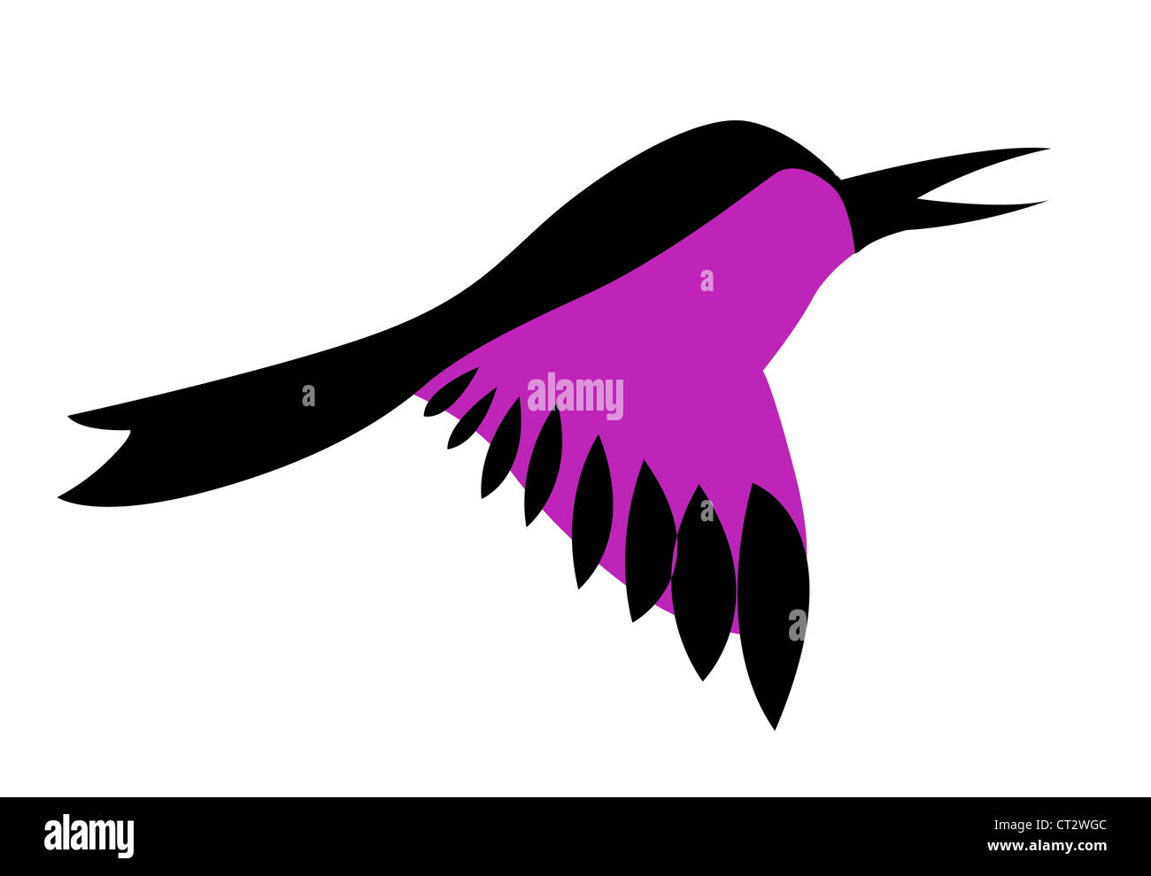 lilac bird on white background Stock Photo - Alamy
