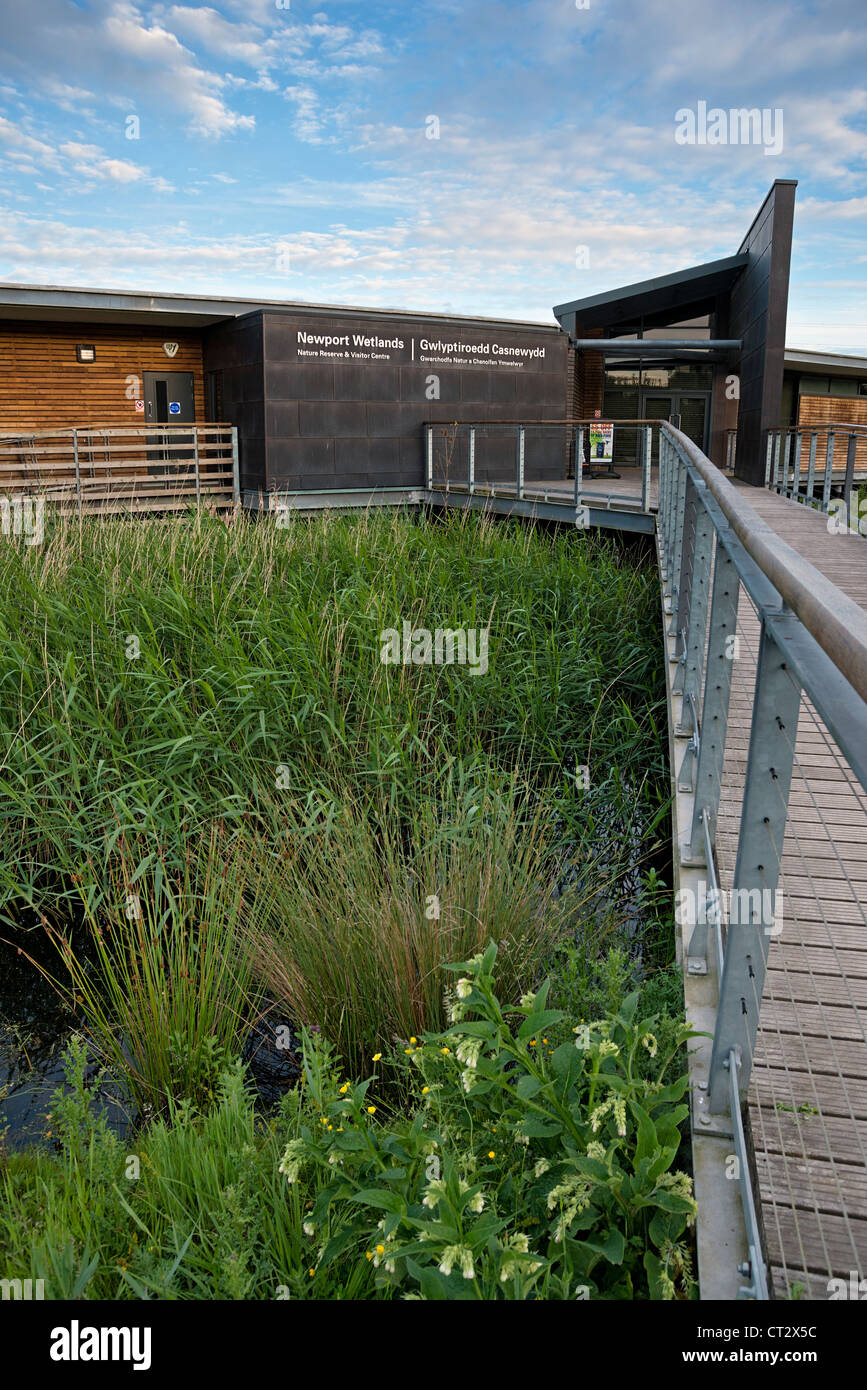Rspb nature reserve newport wales hi-res stock photography and images ...