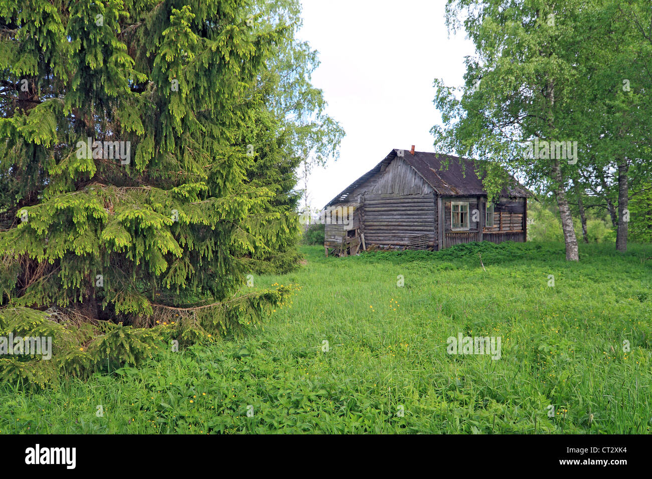 Big window frame texture hi-res stock photography and images - Alamy