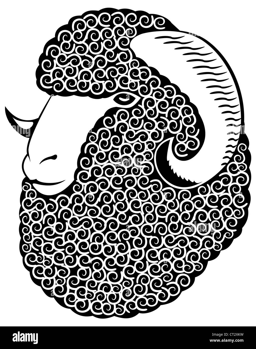 Merino sheep Black and White Stock Photos & Images - Alamy