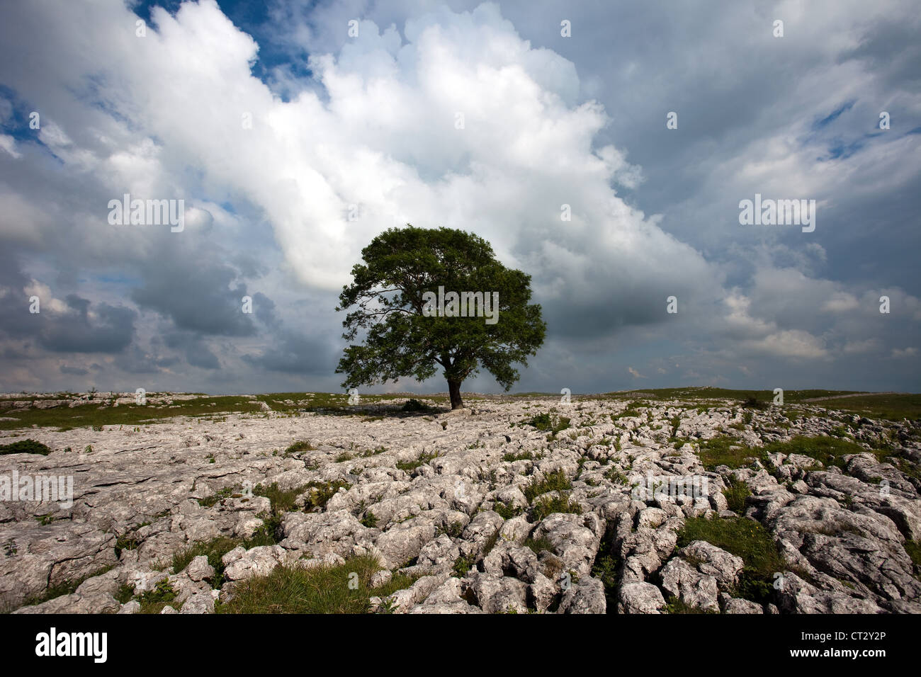 Mallam Pavement Limestone pavement rock formations above Malham Cove ...