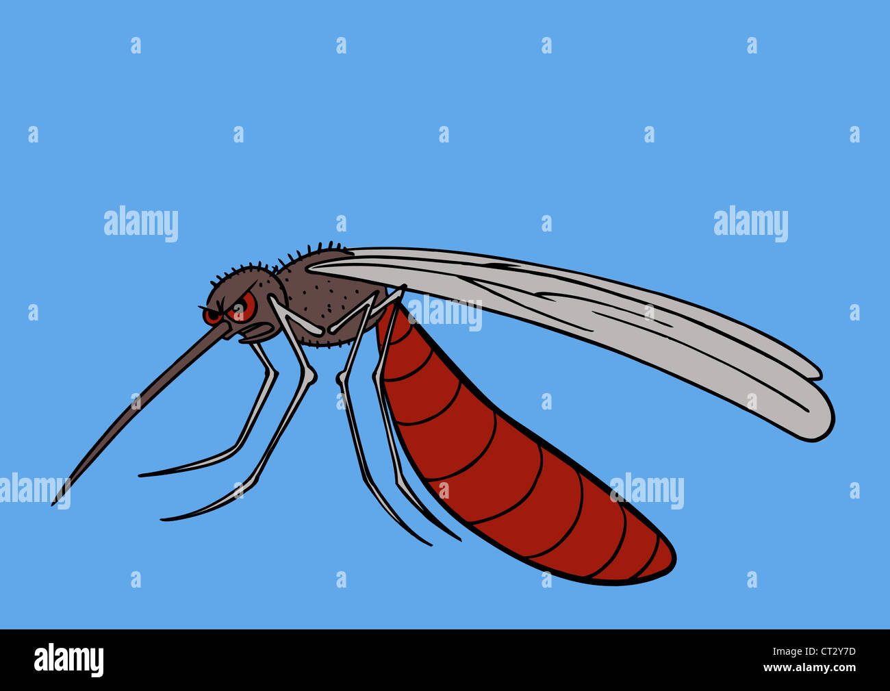 a mosquito with angry Stock Photo - Alamy