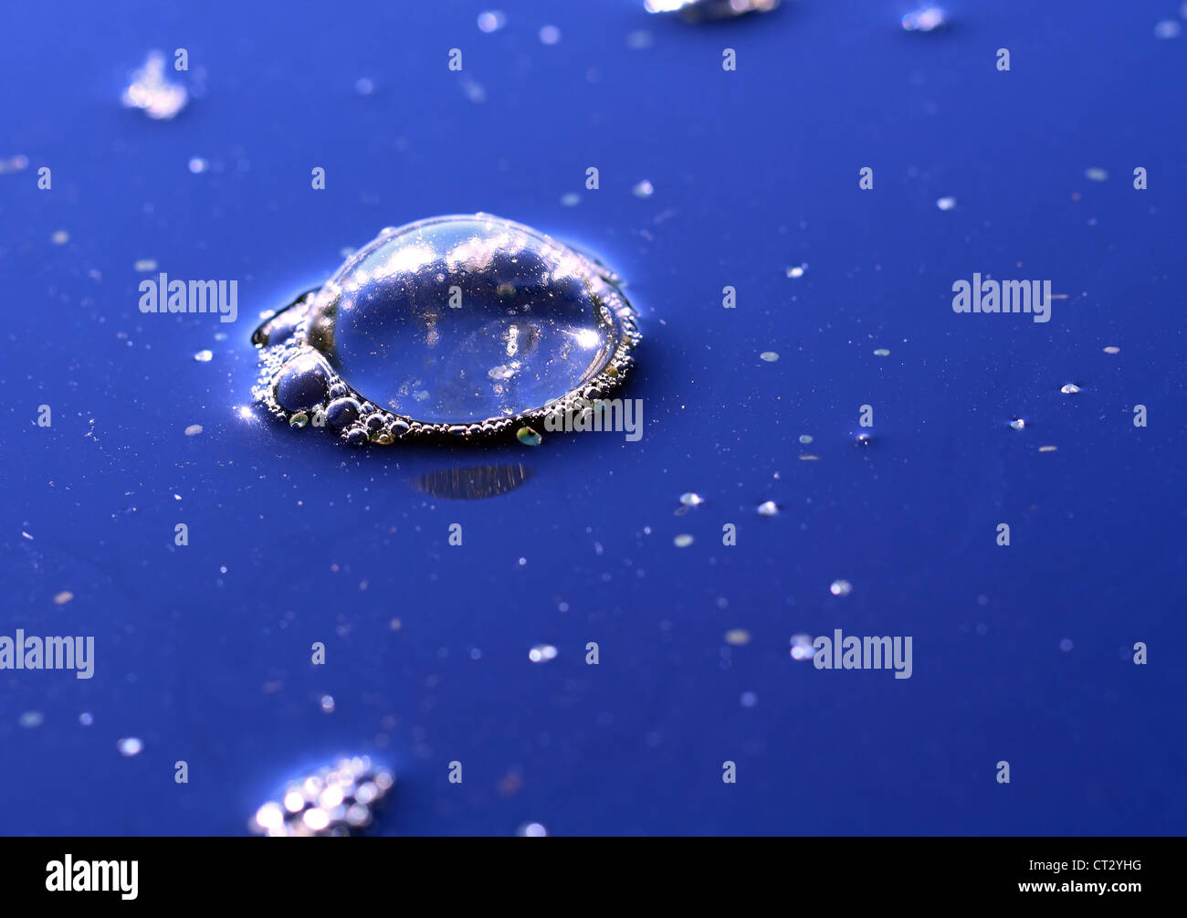 blue bladder on water surface Stock Photo - Alamy