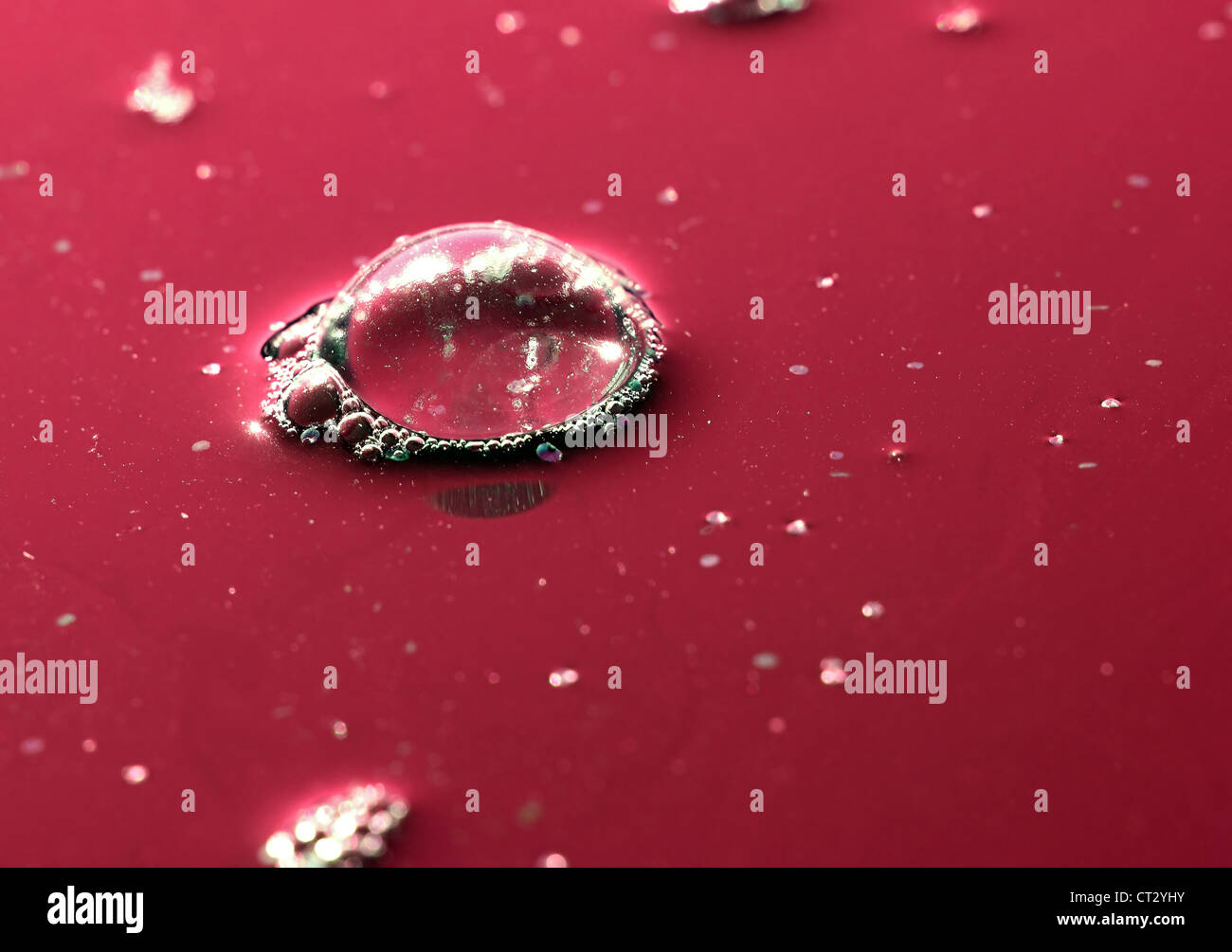 big bladder on red water Stock Photo - Alamy