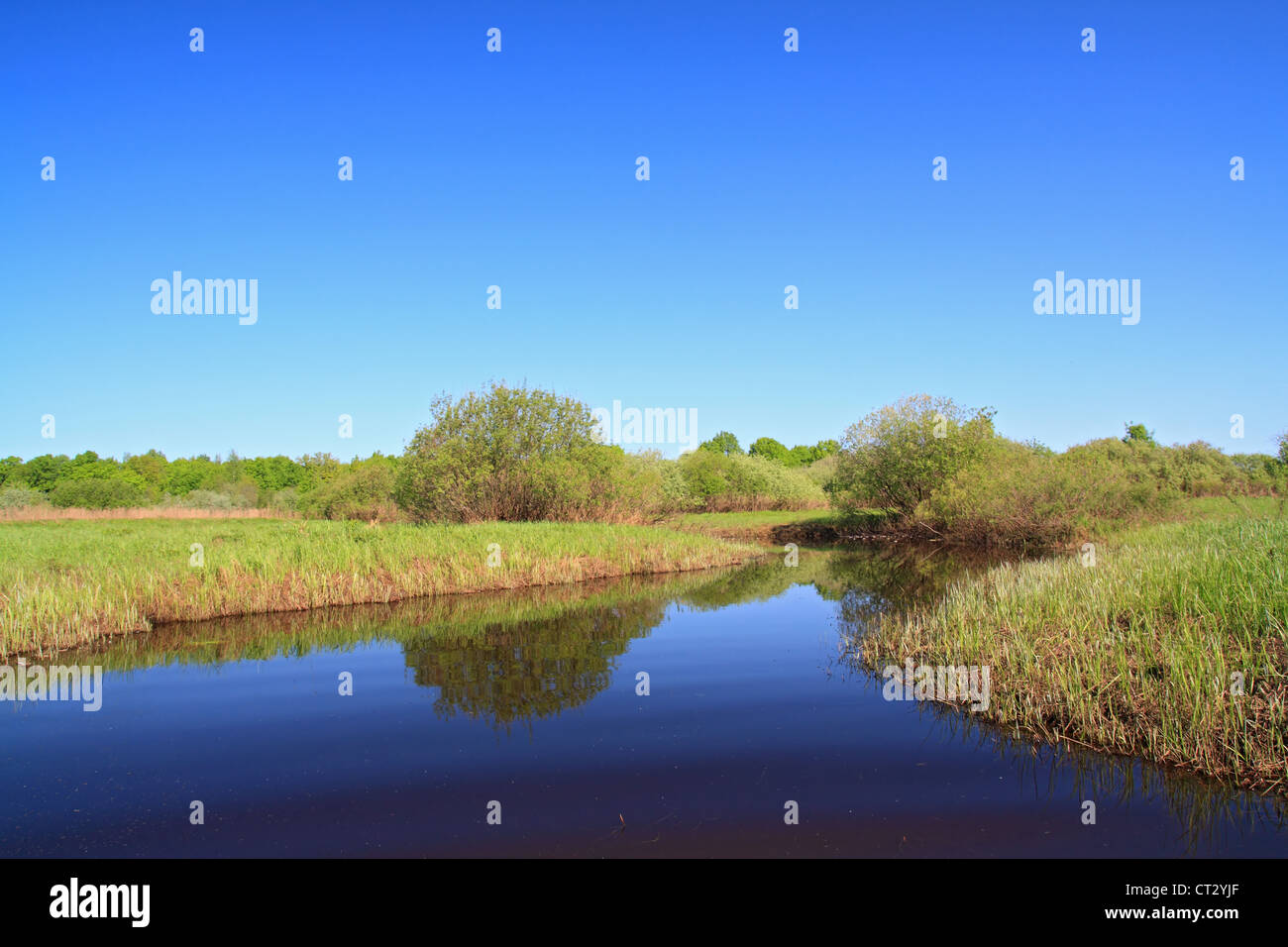 River bushes hi-res stock photography and images - Alamy