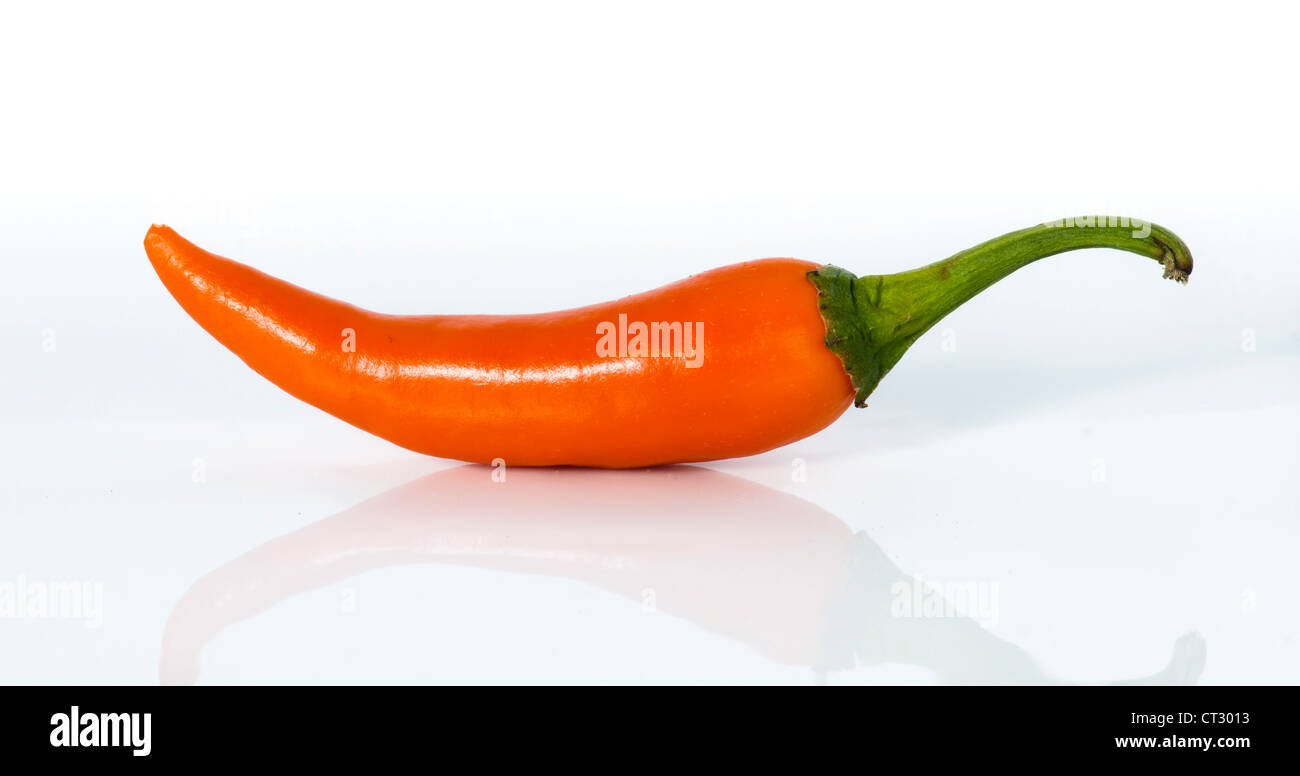 Orange hot chili pepper on a white background Stock Photo - Alamy