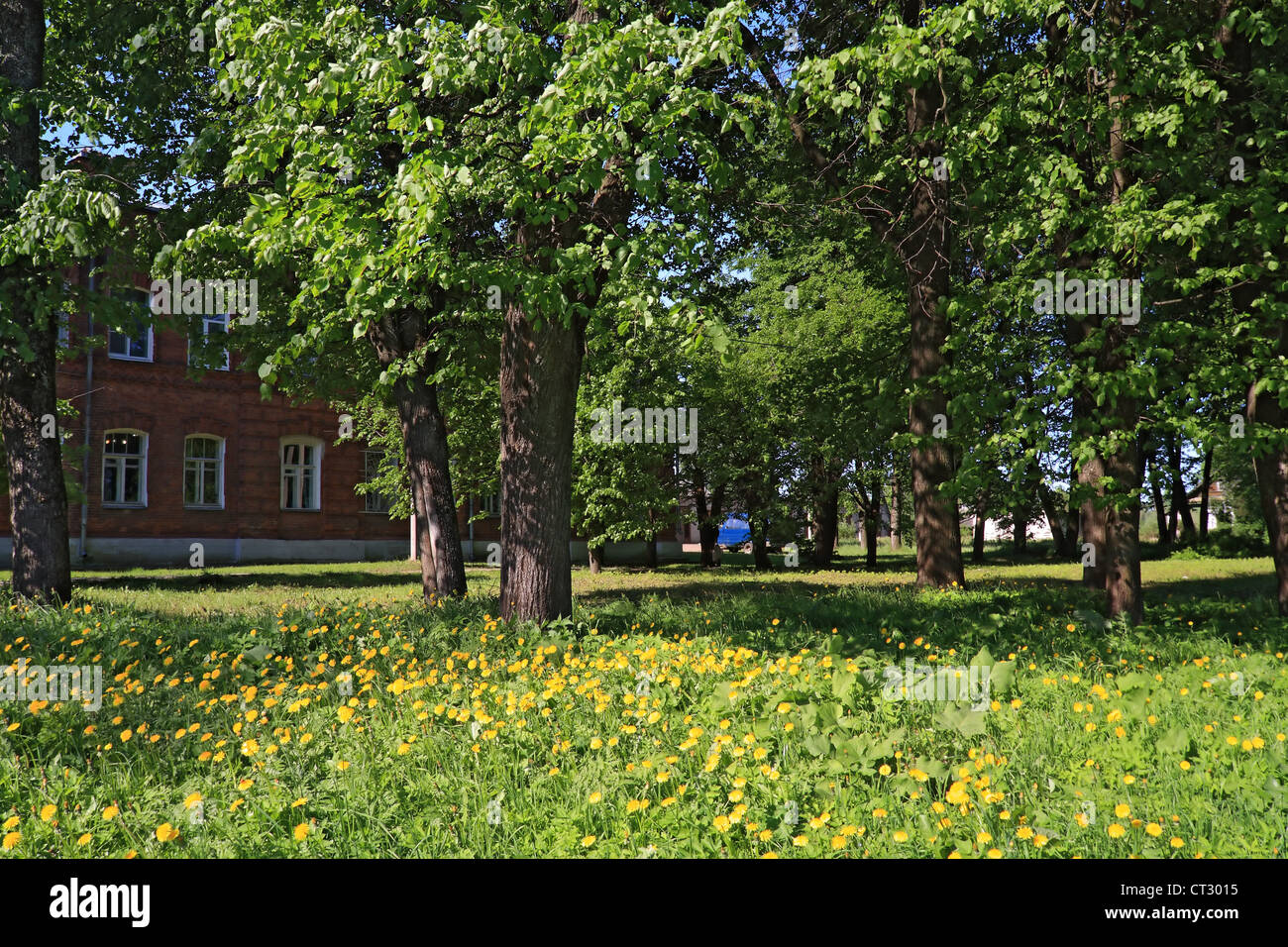 old house amongst tree in park Stock Photo - Alamy