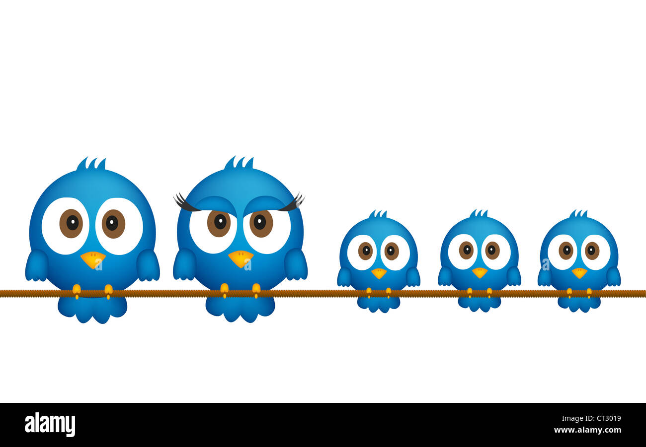 Blue birds family Stock Photo - Alamy