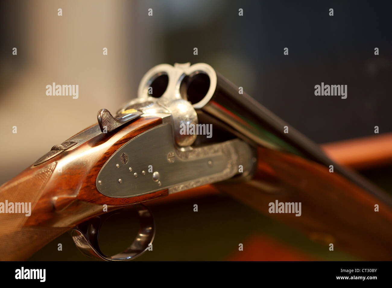 Closeup of the rifle Stock Photo - Alamy