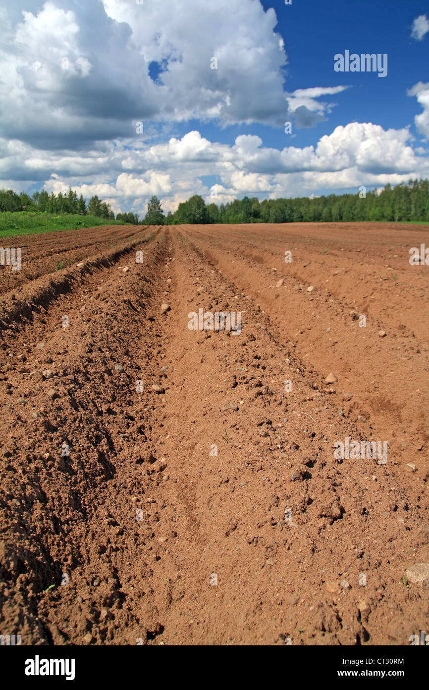 Crop planting field line hi-res stock photography and images - Alamy