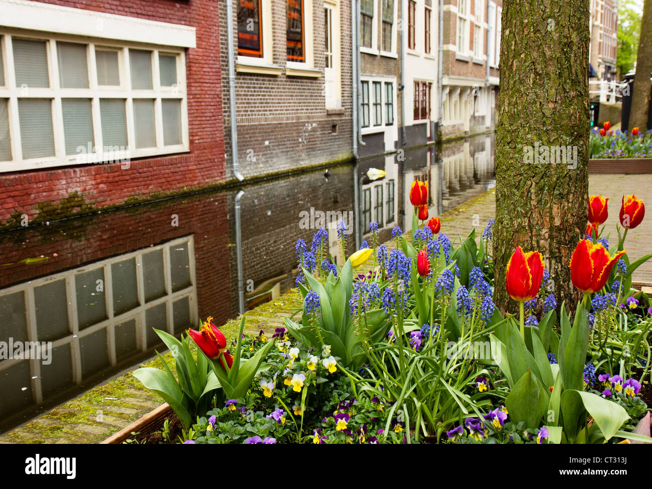 Delft spring house hi-res stock photography and images - Alamy