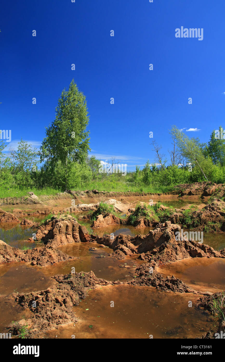 old sandy quarry in green wood Stock Photo - Alamy