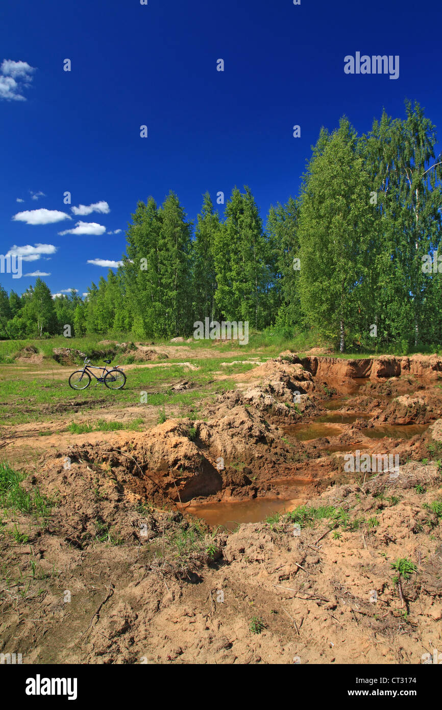 old sandy quarry in green wood Stock Photo - Alamy