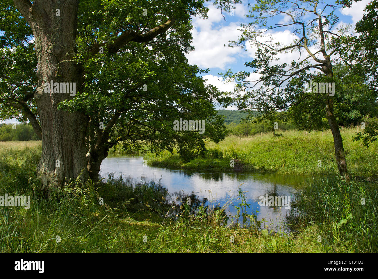 River Rusland in the Rusland Valley, South Lakeland, Lake District ...
