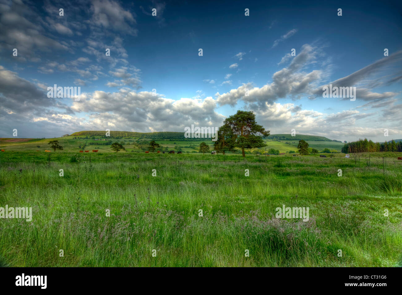 Scenic moors hi-res stock photography and images - Alamy