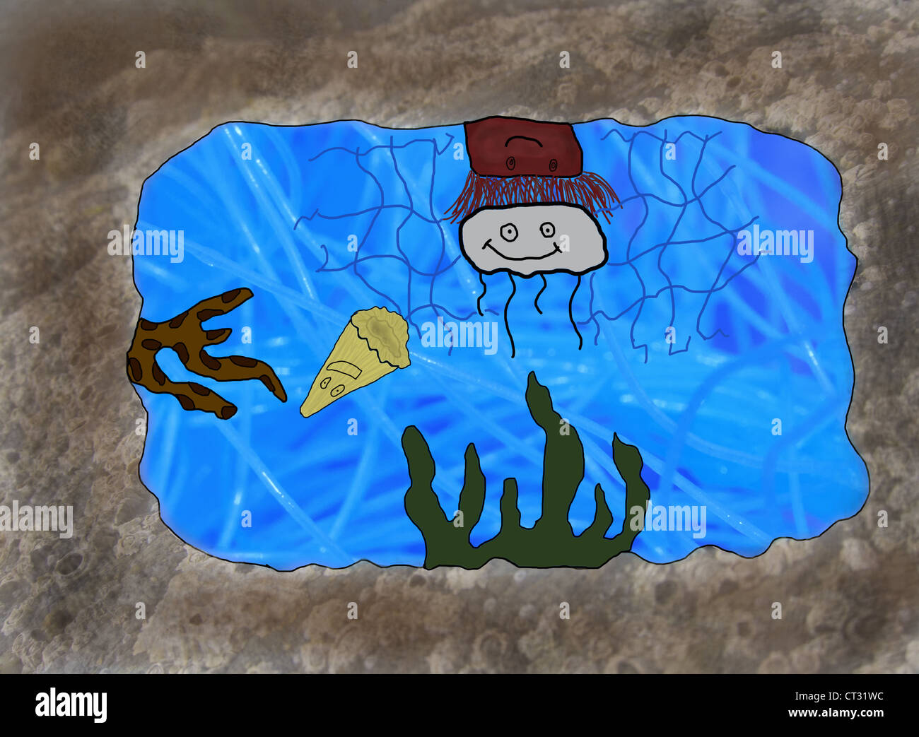Rock pool illustration hi-res stock photography and images - Alamy