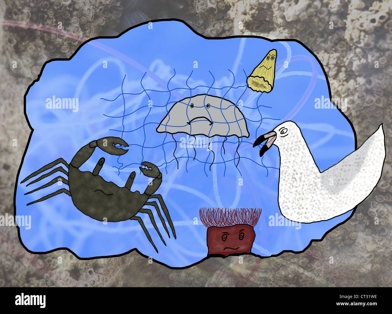 Rock pool illustration hi-res stock photography and images - Alamy