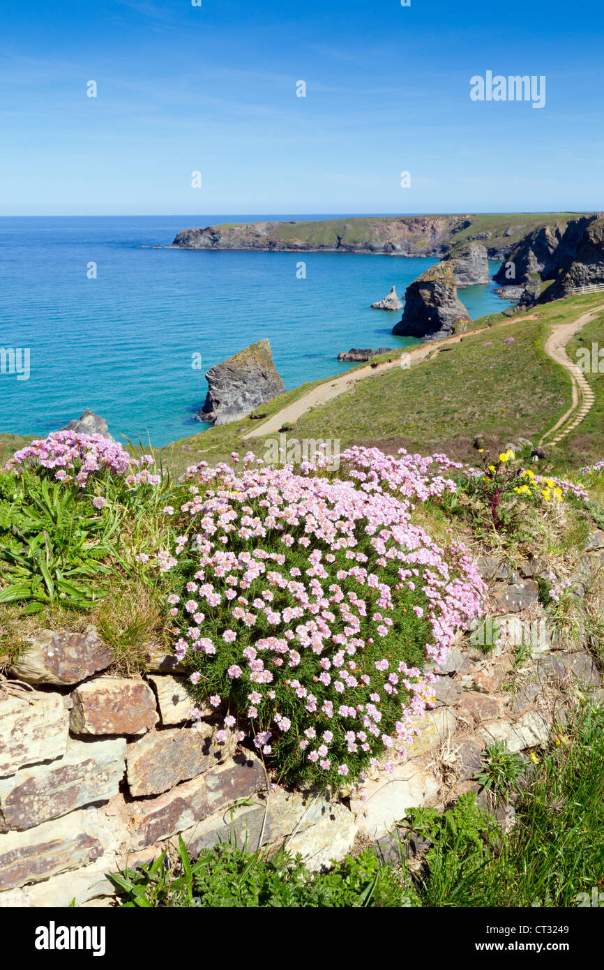Bedruthan steps cornwall hi-res stock photography and images - Alamy
