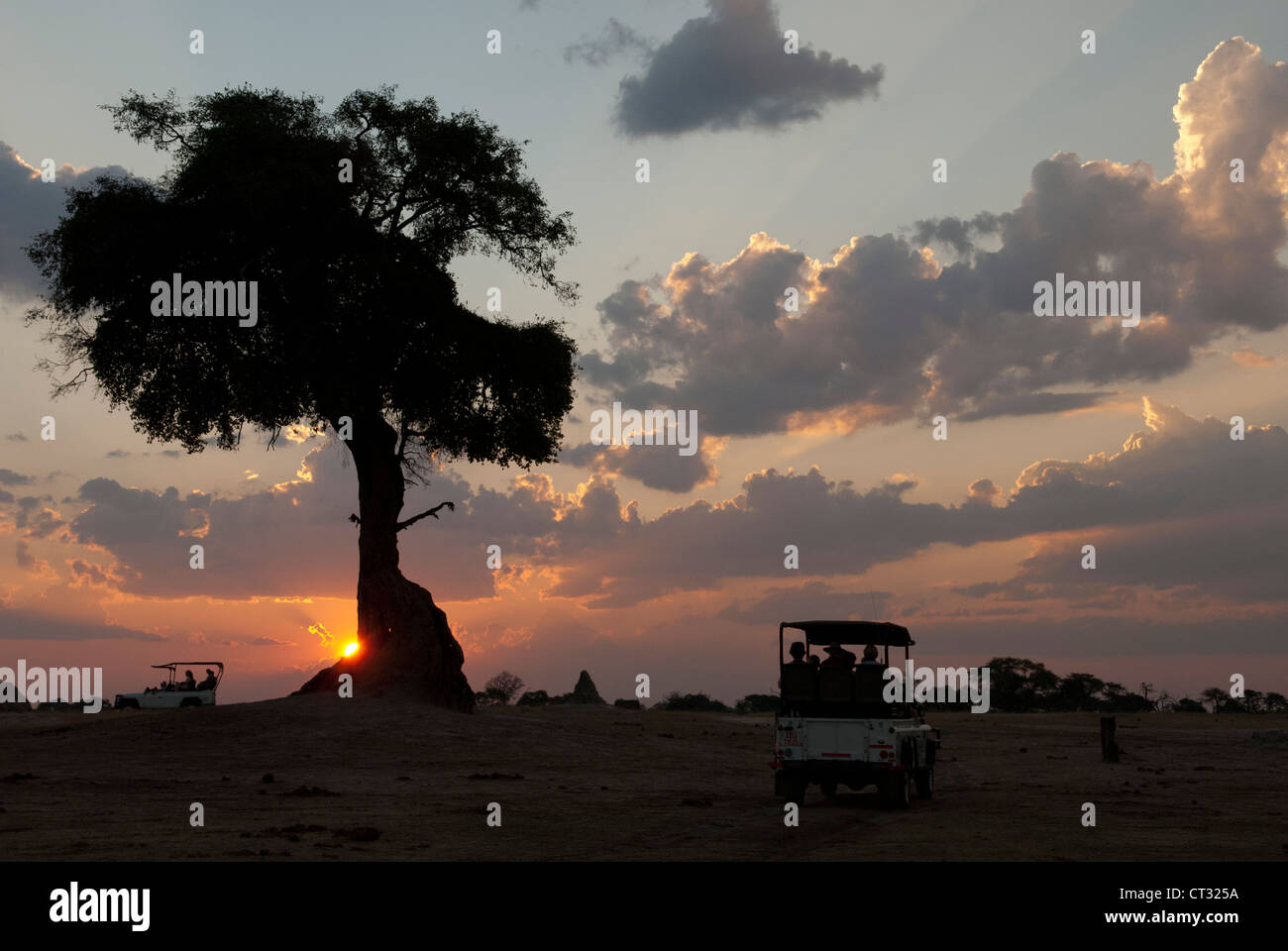Zimbabwe tree hi-res stock photography and images - Alamy