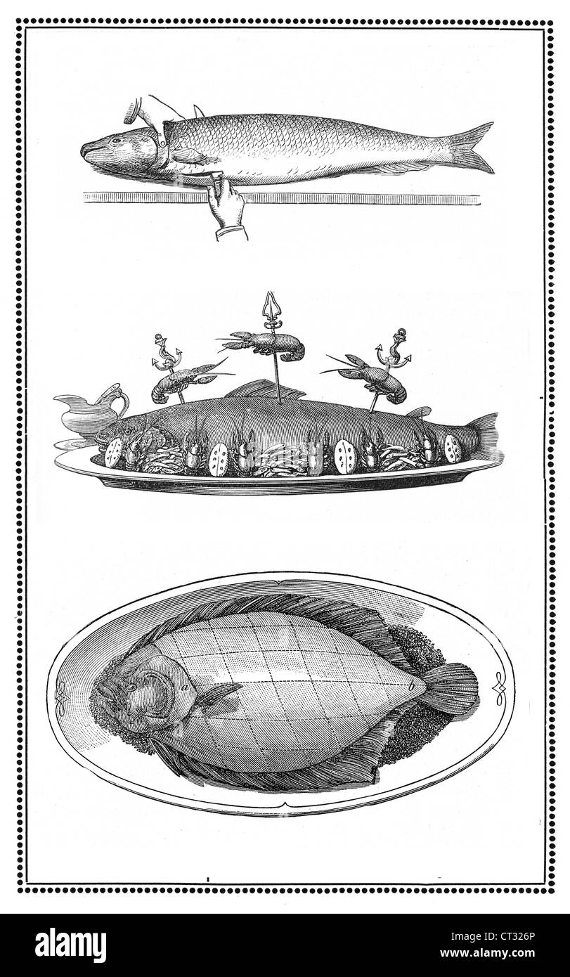 Engravings of fish and fish dishes: preparation and table presentations ...