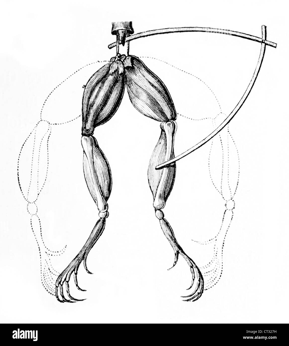 Experiment graphic Black and White Stock Photos & Images - Alamy