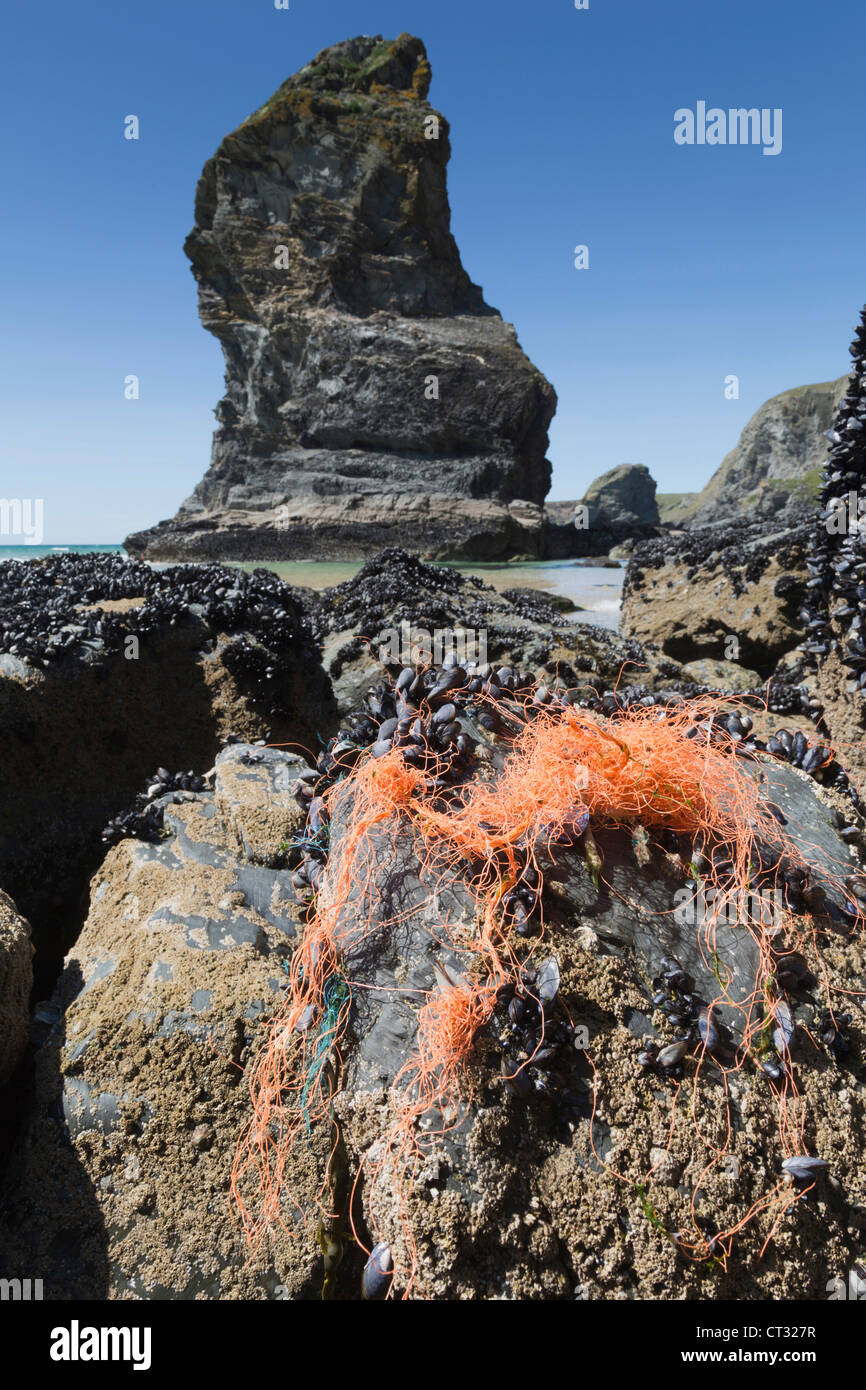 Sea erosion stack hi-res stock photography and images - Alamy