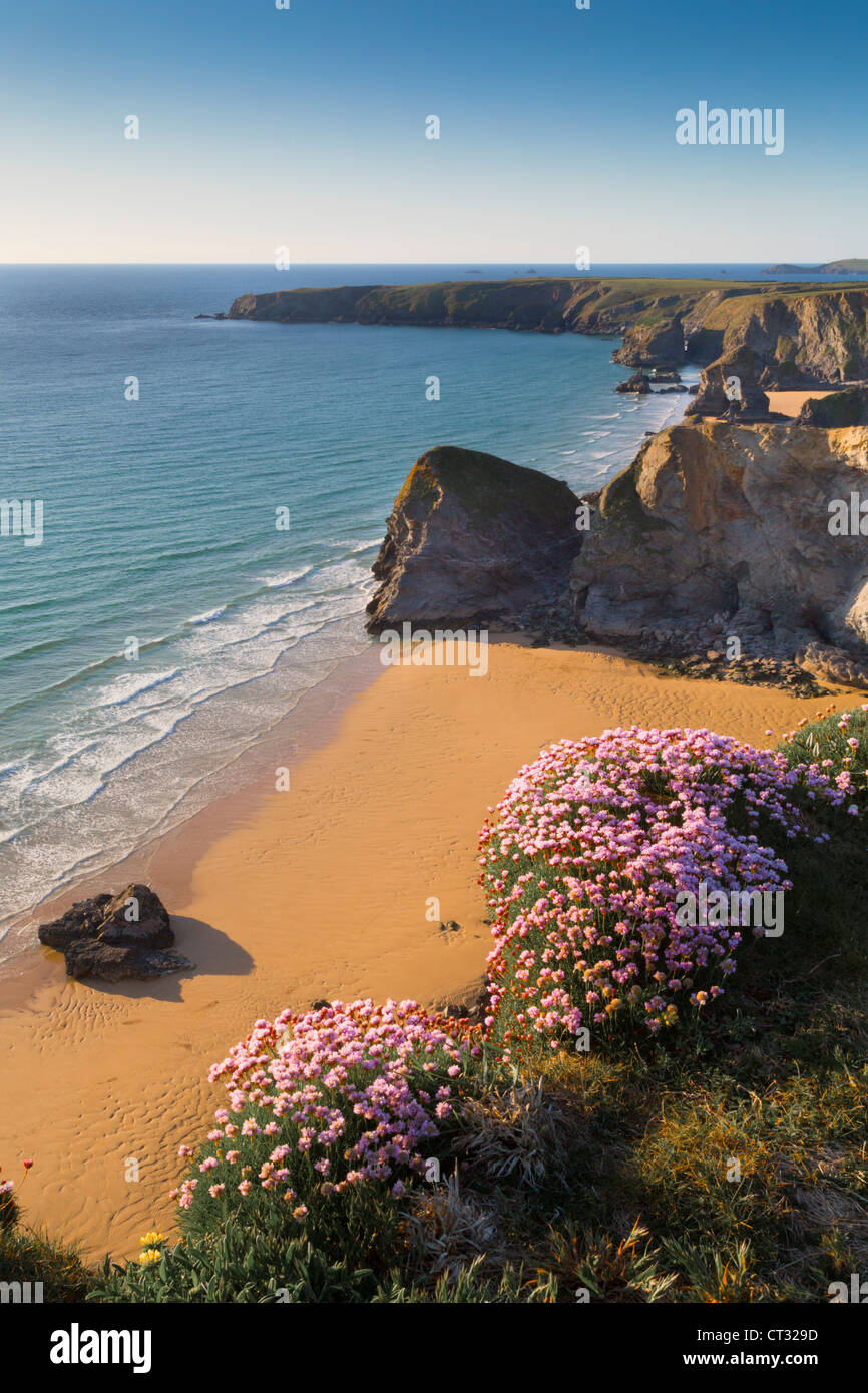 Uk steps hi-res stock photography and images - Alamy