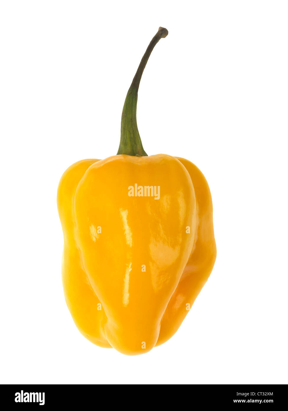 Scotch Bonnet Chilli High Resolution Stock Photography and Images - Alamy