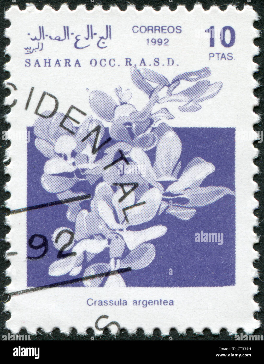 SAHARA - CIRCA 1992: A stamp printed in Sahrawi Arab Democratic ...