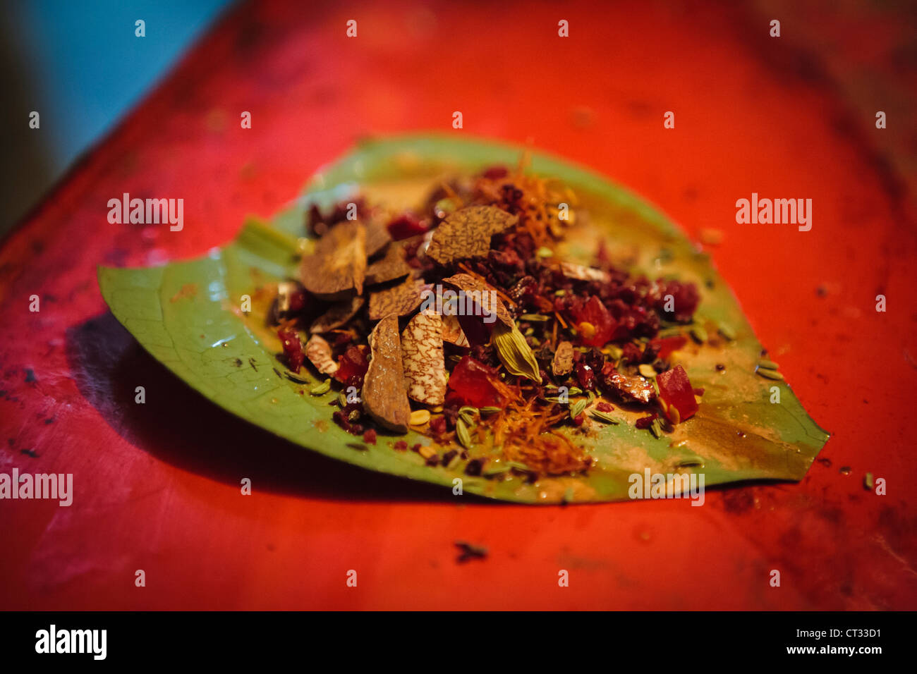 Contents of Paan Betel nuts, the fruit of the Areca catechu palm tree ...