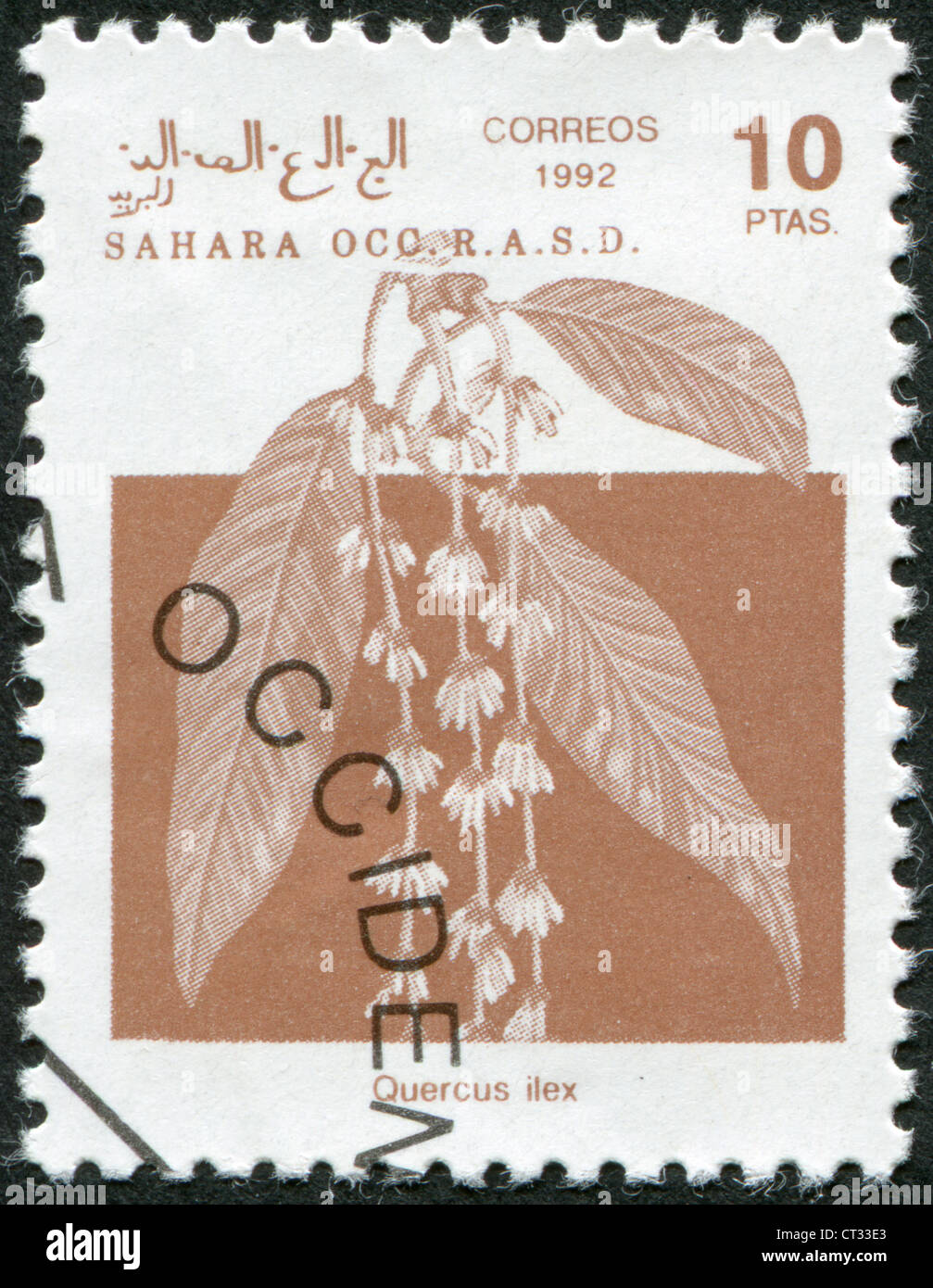 Postage stamp tree hi-res stock photography and images - Alamy