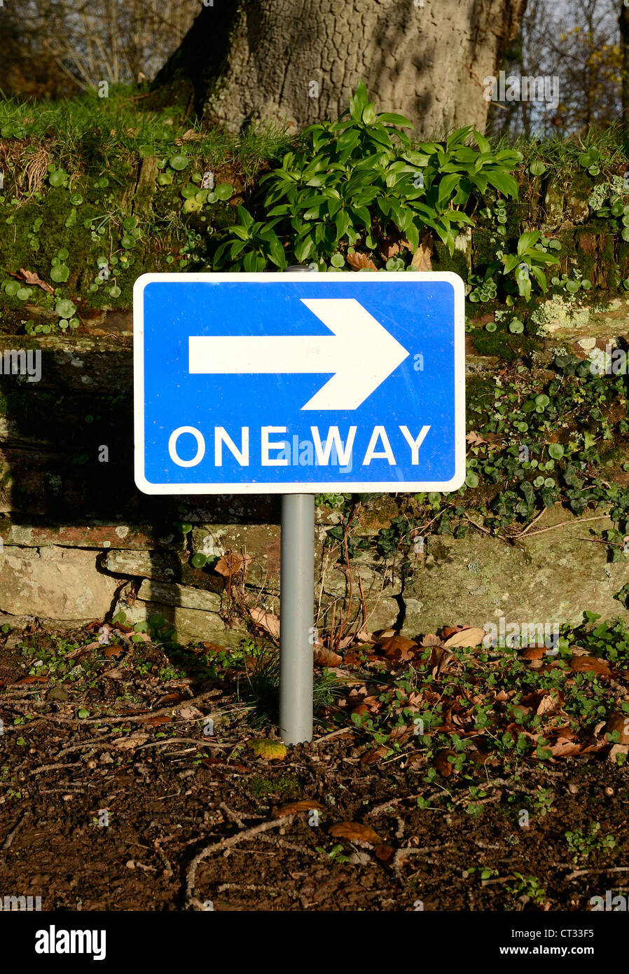 A one way sign Stock Photo - Alamy